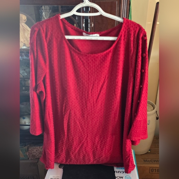 Rose & Olive | Tops | Rose Olive Red Textured Blouse | Poshmark
